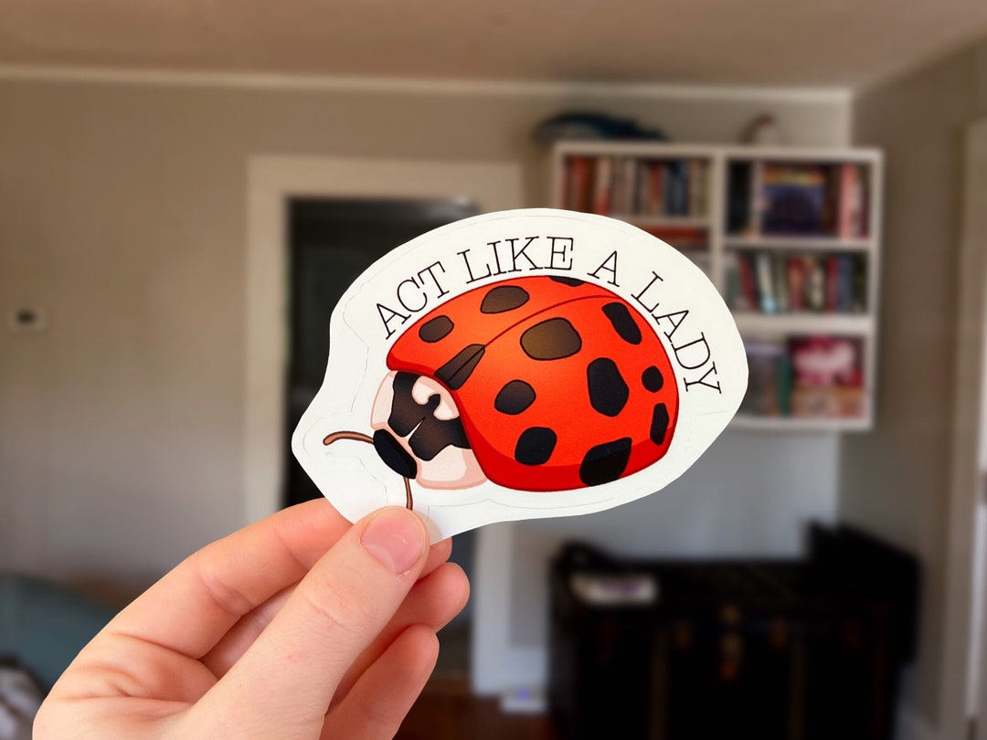 Classy Ladylike Funny Sticker Ladybug Lovers Cartoon Art Decal for Bug ...