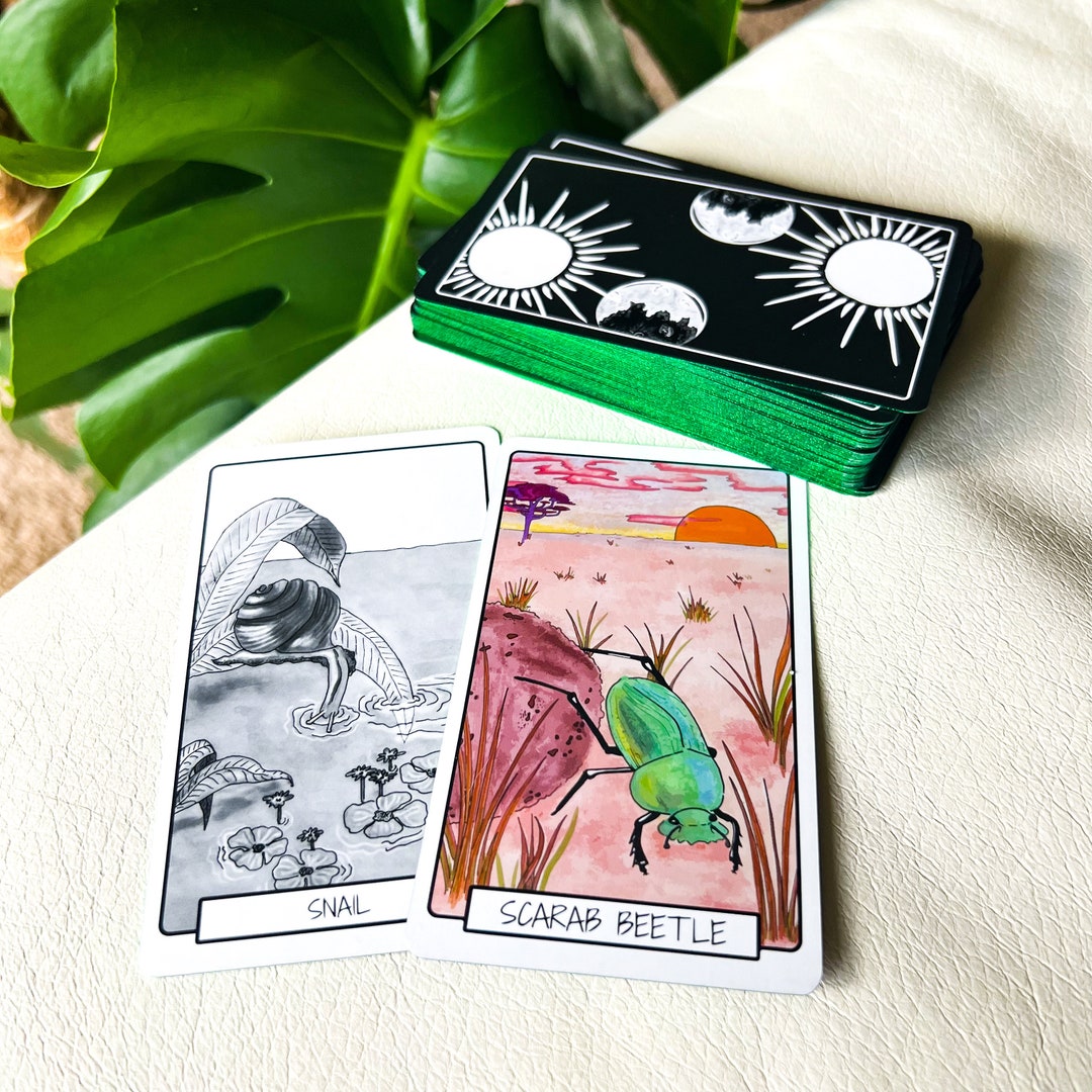 Small Spirits Oracle Deck: an Insect Inspired Oracle - Etsy