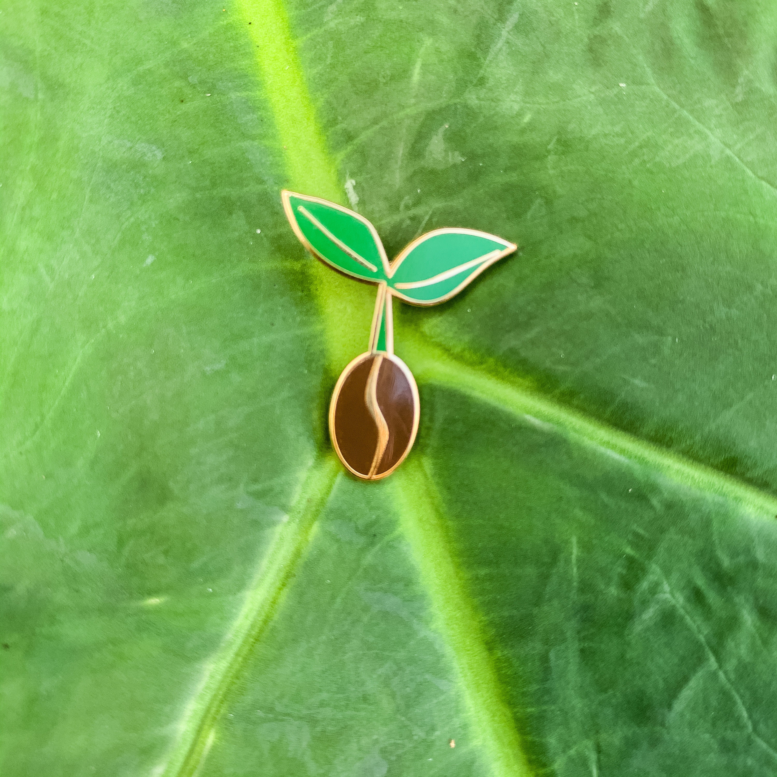 The Coffee Sprout Enamel Pin | Etsy