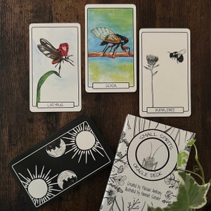 Small Spirits Oracle Deck: an Insect Inspired Oracle - Etsy