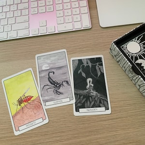 Small Spirits Oracle Deck: an Insect Inspired Oracle - Etsy