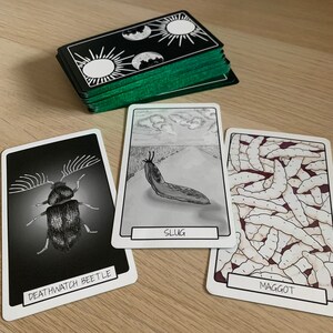 Small Spirits Oracle Deck: an Insect Inspired Oracle - Etsy
