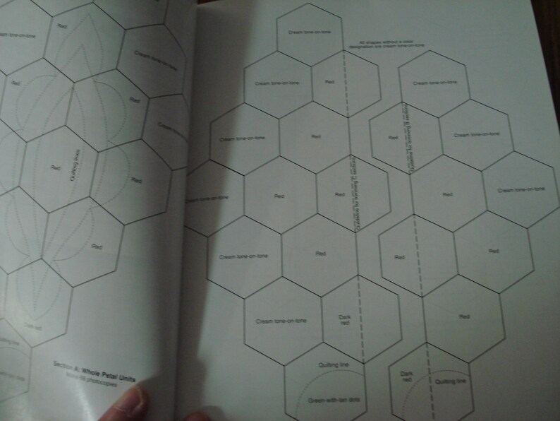 Illustrated Guide to English Paper Piecing Master Quilter's Workshop by House of White Birches ...