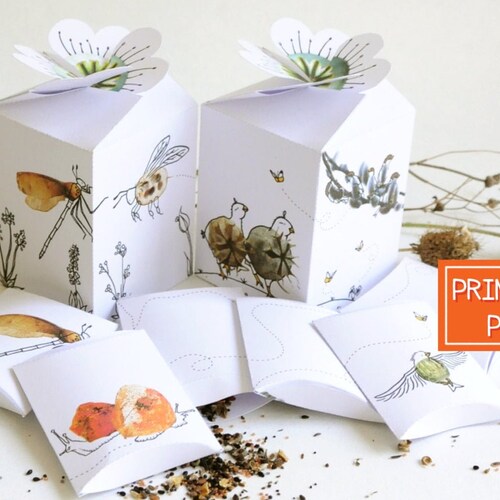 Printable Seed Packet DIY Gift Box for Gardeners INSTANT - Etsy