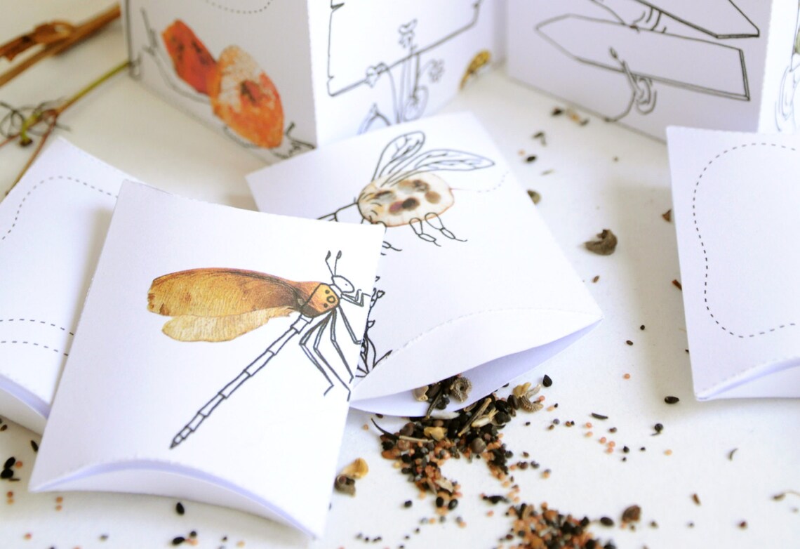 Printable Seed Packet DIY Gift Box for Gardeners INSTANT Download - Etsy