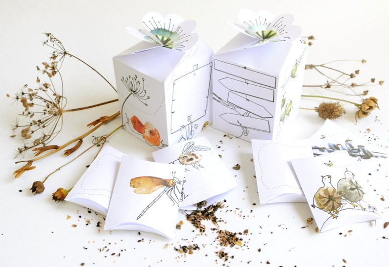 Printable Seed Packet DIY Gift Box for Gardeners INSTANT Download - Etsy