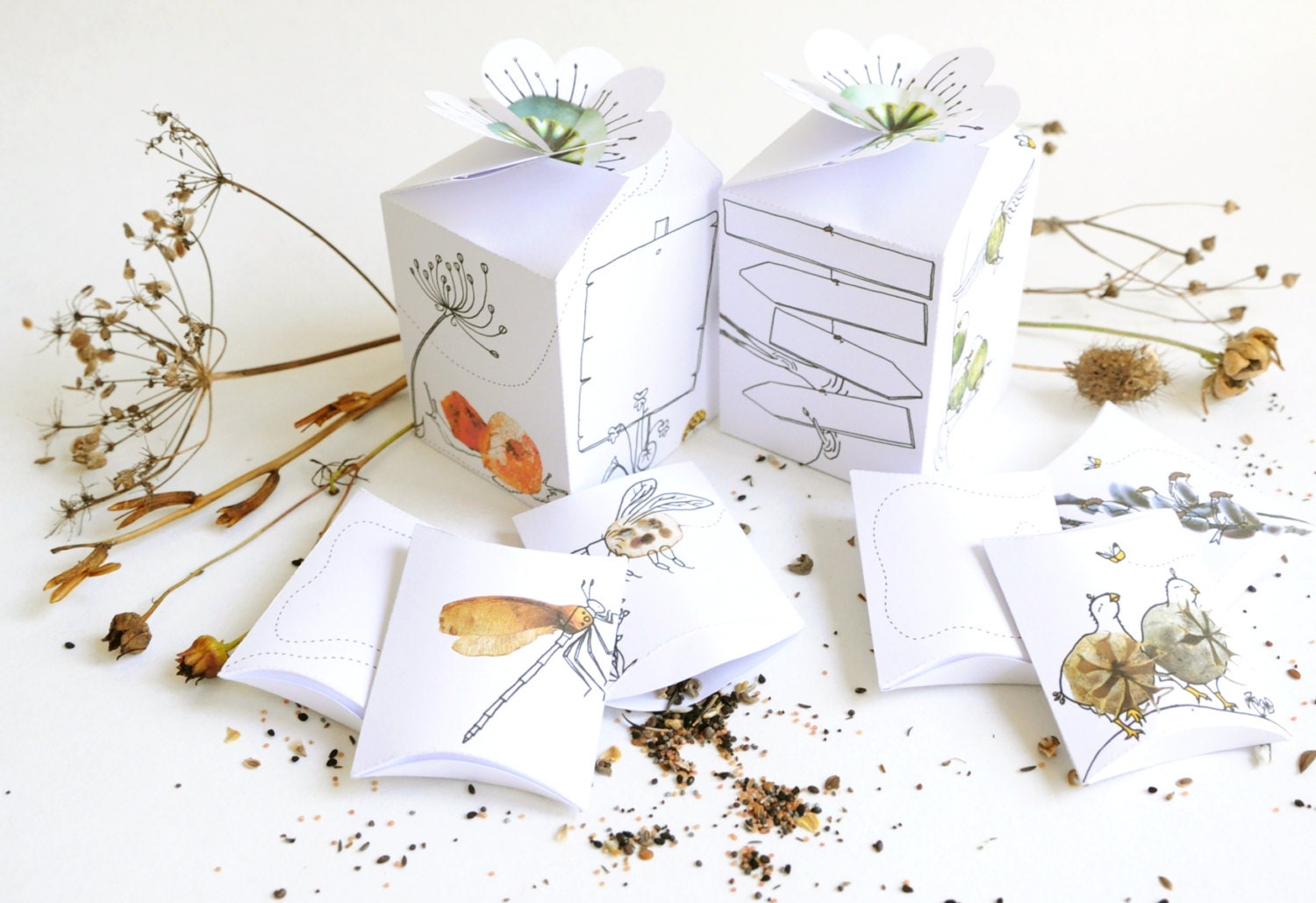 Printable Seed Packet | DIY Gift Box for Gardeners | INSTANT Download ...