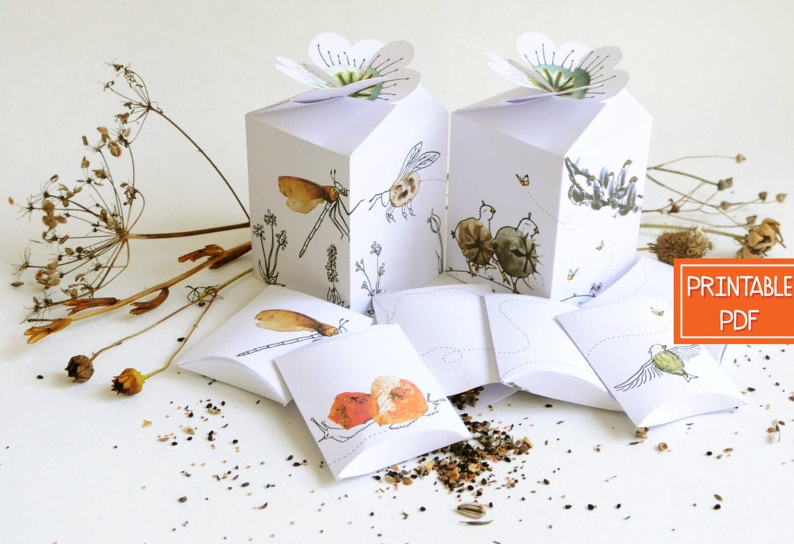 Printable Seed Packet DIY Gift Box for Gardeners INSTANT Download - Etsy
