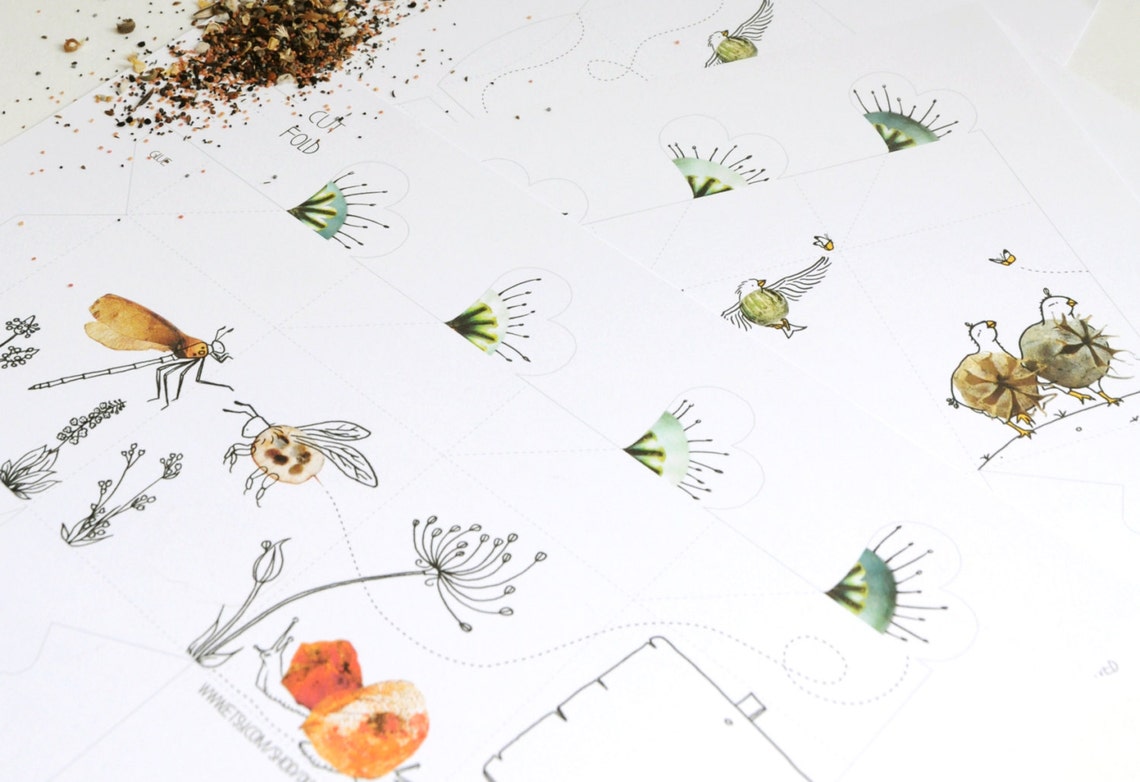 Printable Seed Packet DIY Gift Box for Gardeners INSTANT Download - Etsy