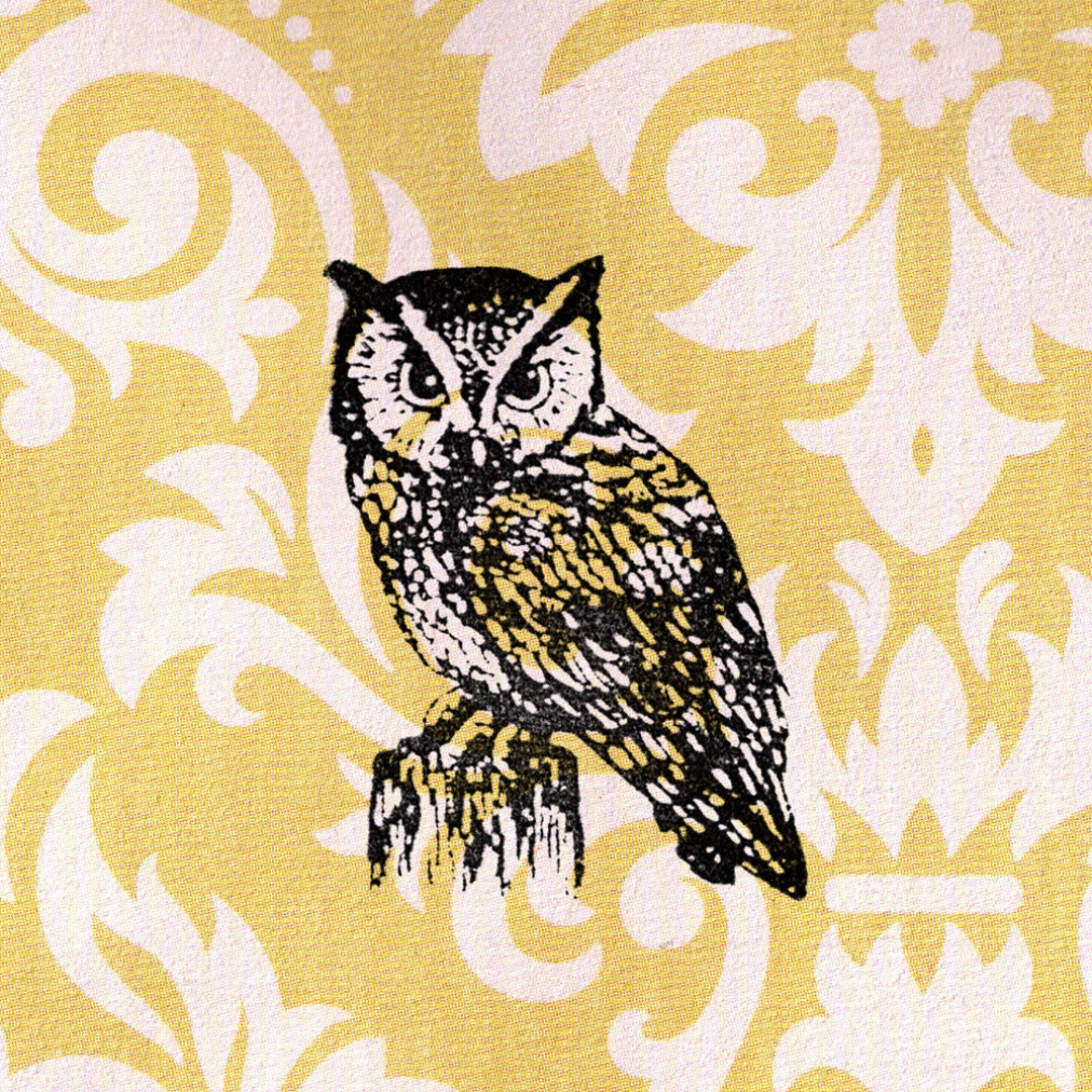 Owl Stamp: Wood Mounted Rubber Stamp - Etsy
