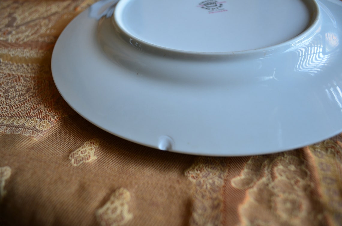 30 Pc Crown Empire China Set, Princess, Dinner Plates, Salad Plates ...