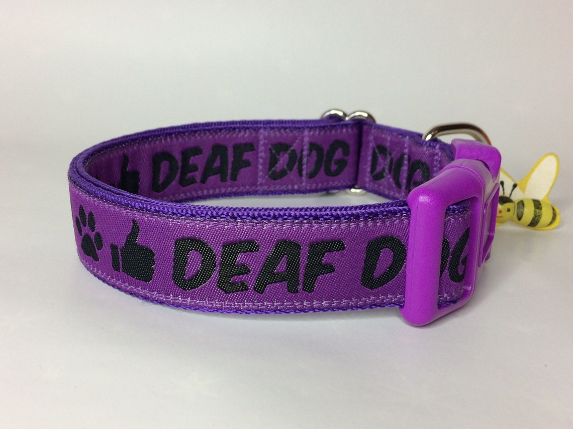 Purple Deaf Dog Collar Clip Style Purple Small Medium - Etsy