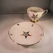 Order of the Eastern Star OES Tea Cup and Saucer by Princess Anne Fine ...