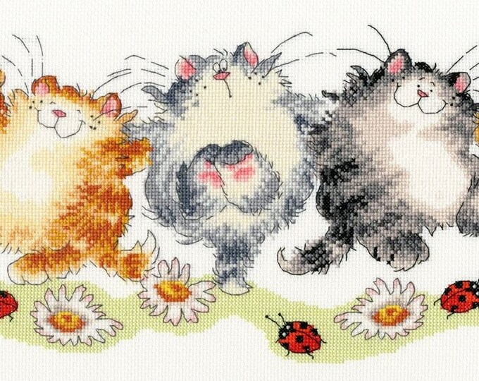 Bothy Threads XMS16 the Cat-can Cross Stitch Kit by Margaret Sherry - Etsy
