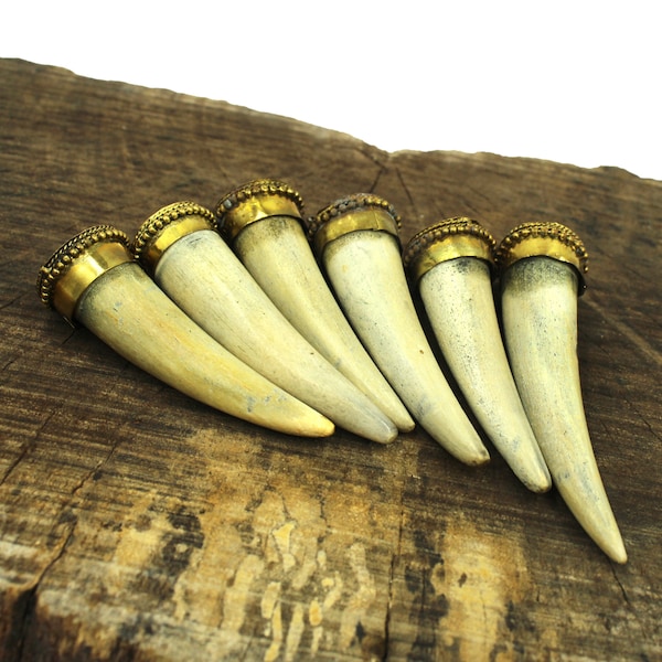 White Bone Horn - Etsy