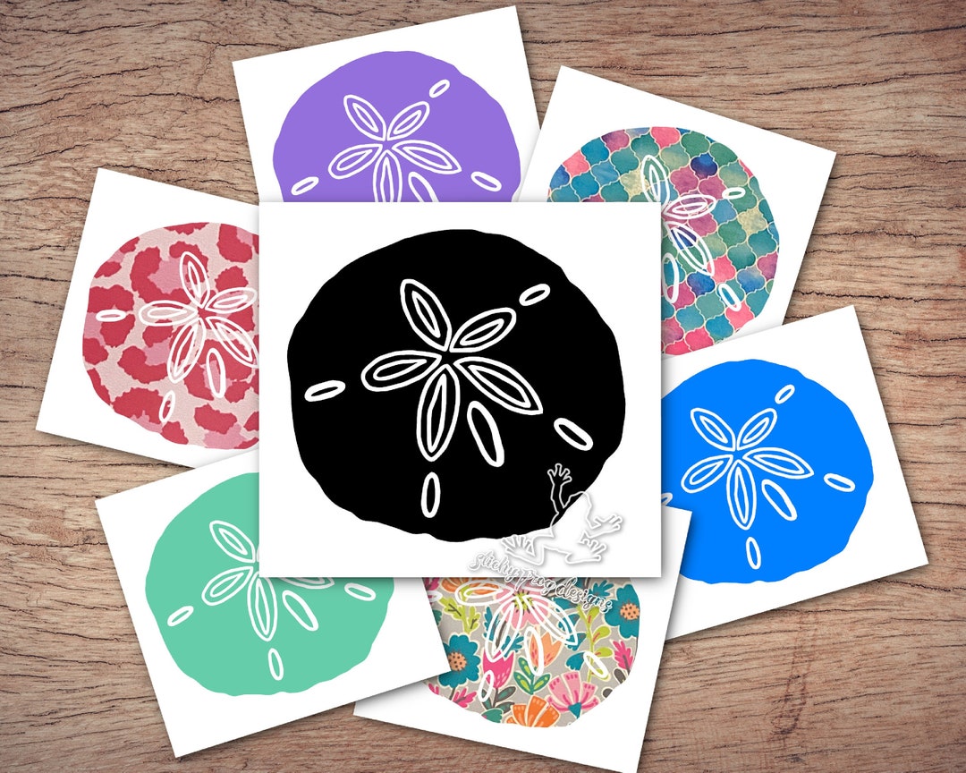 Sand Dollar Decal Sand Dollar Sticker Seashell Decal - Etsy