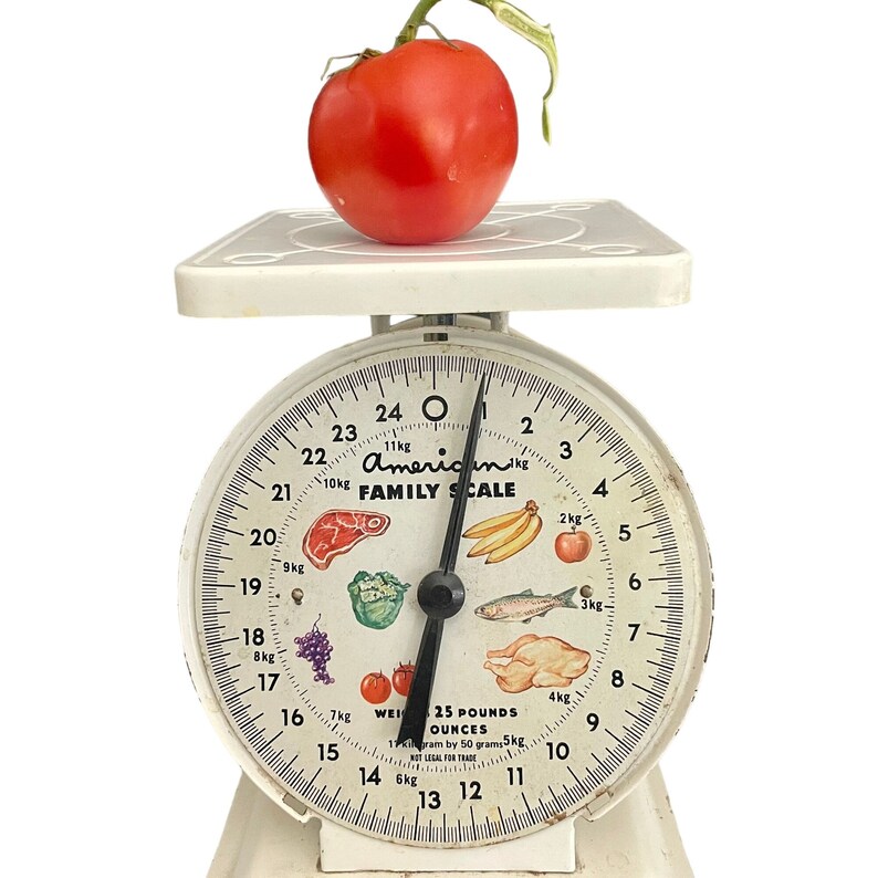 Vintage Kitchen Scale by American Family - Midcentury Kitchen Decor. - Etsy