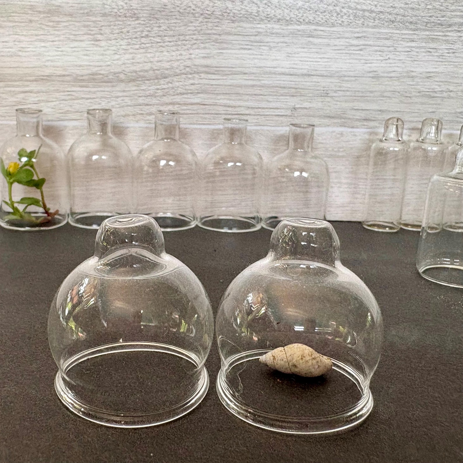 Antique Miniature Glass Cloches, Bell-shaped Hand Blown Display Domes ...