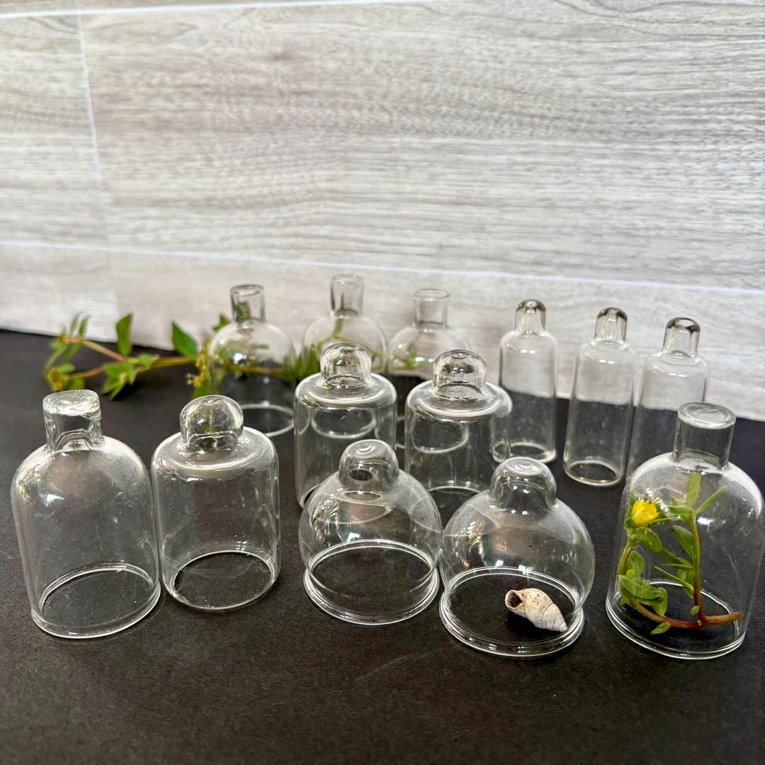 Antique Miniature Glass Cloches, Bell-shaped Hand Blown Display Domes ...