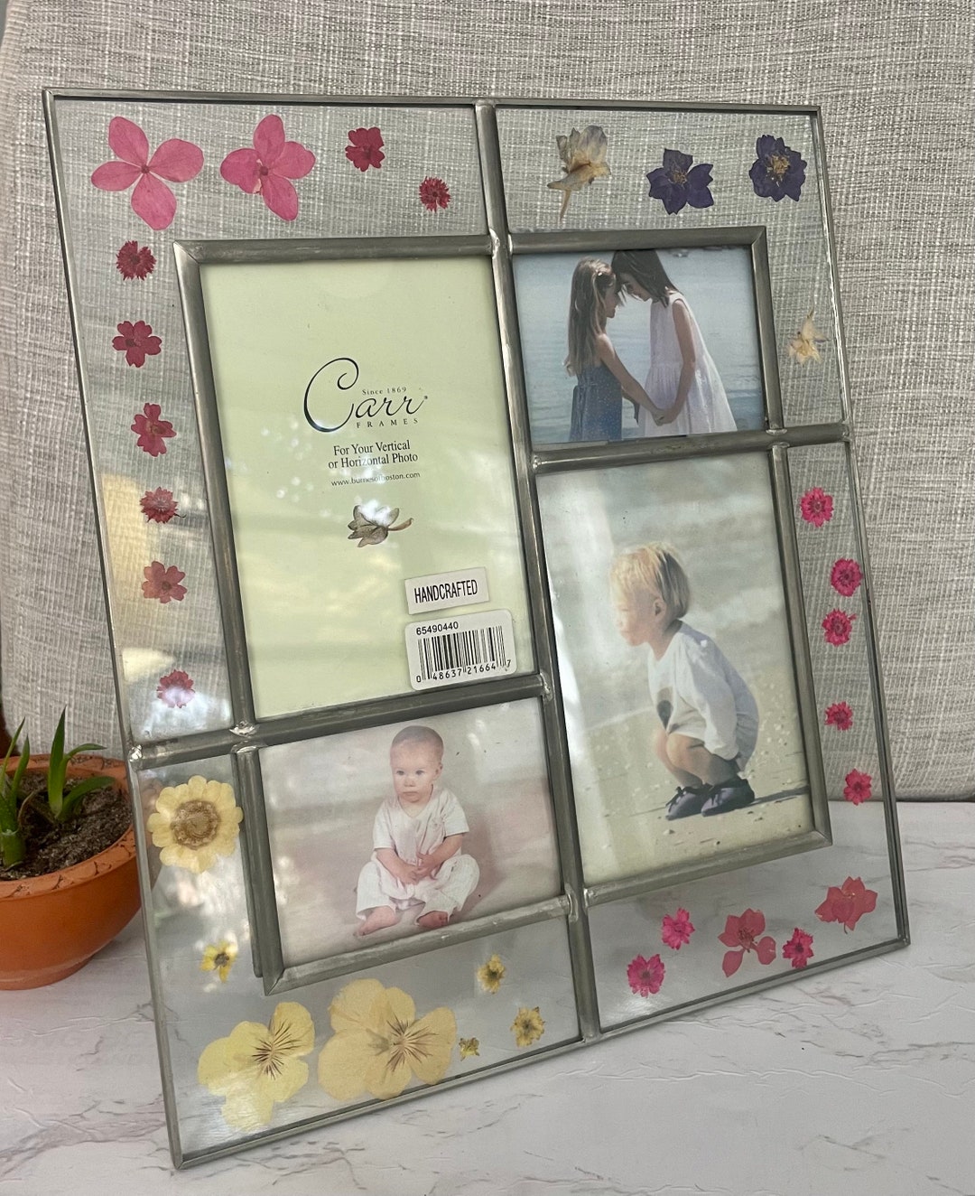 Pressed Flowers Frame by Carr for 4 Photos by Carr Picture Frame ...