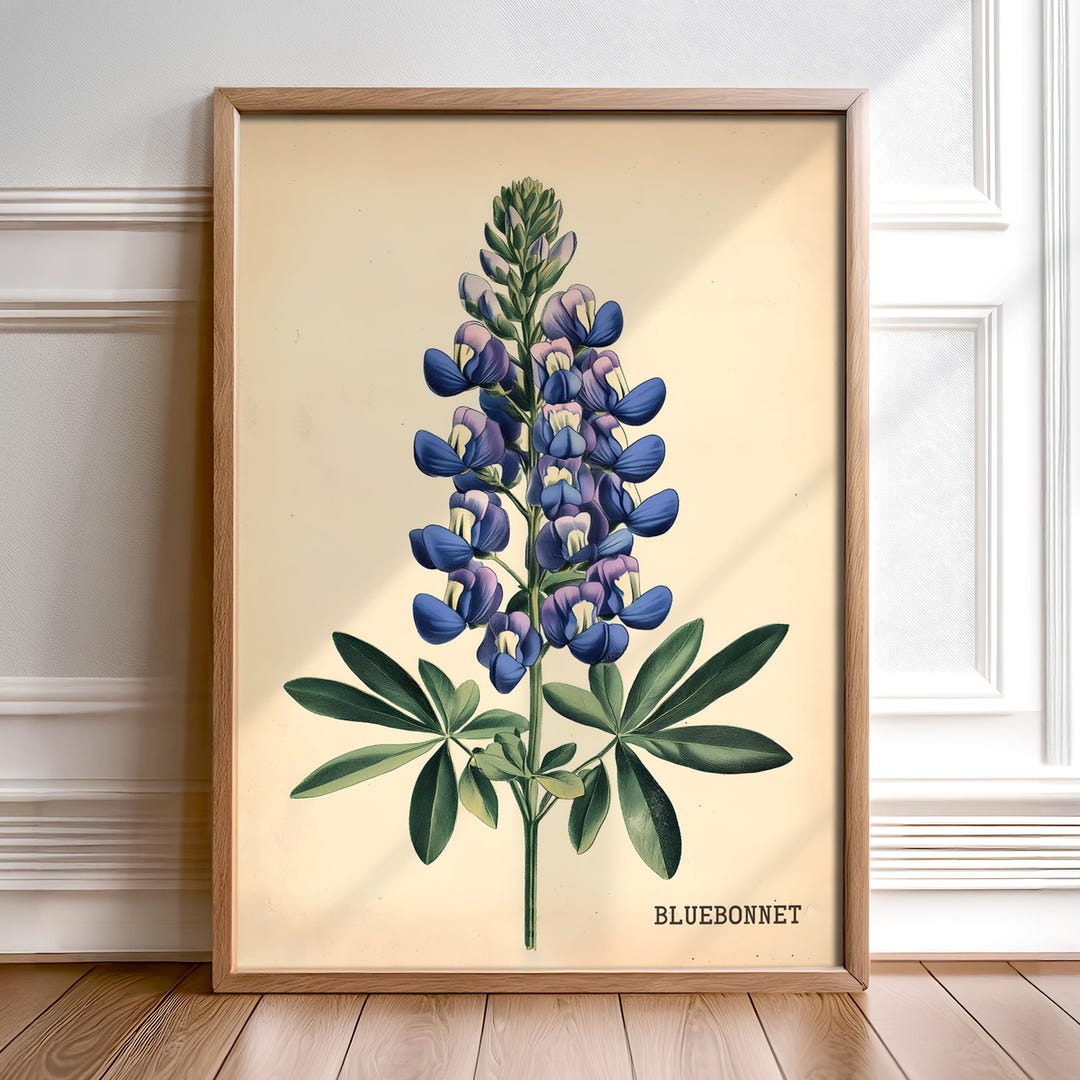Vintage Botanical Print Bluebonnet Wall Art Texas Home Decor Nature ...