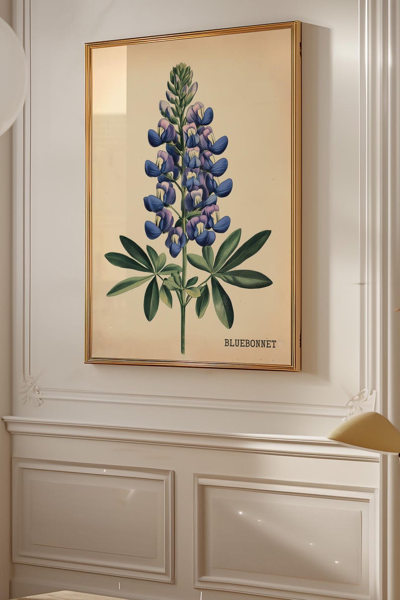 Vintage Botanical Print Bluebonnet Wall Art Texas Home Decor Nature ...