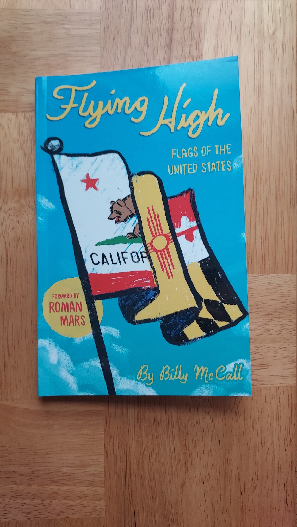 Flying High - Flags of the United States - Etsy