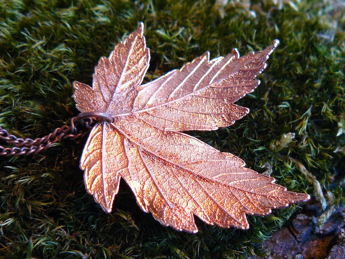 Electroformed Maple Leaves_copper Plated_leaves - Etsy