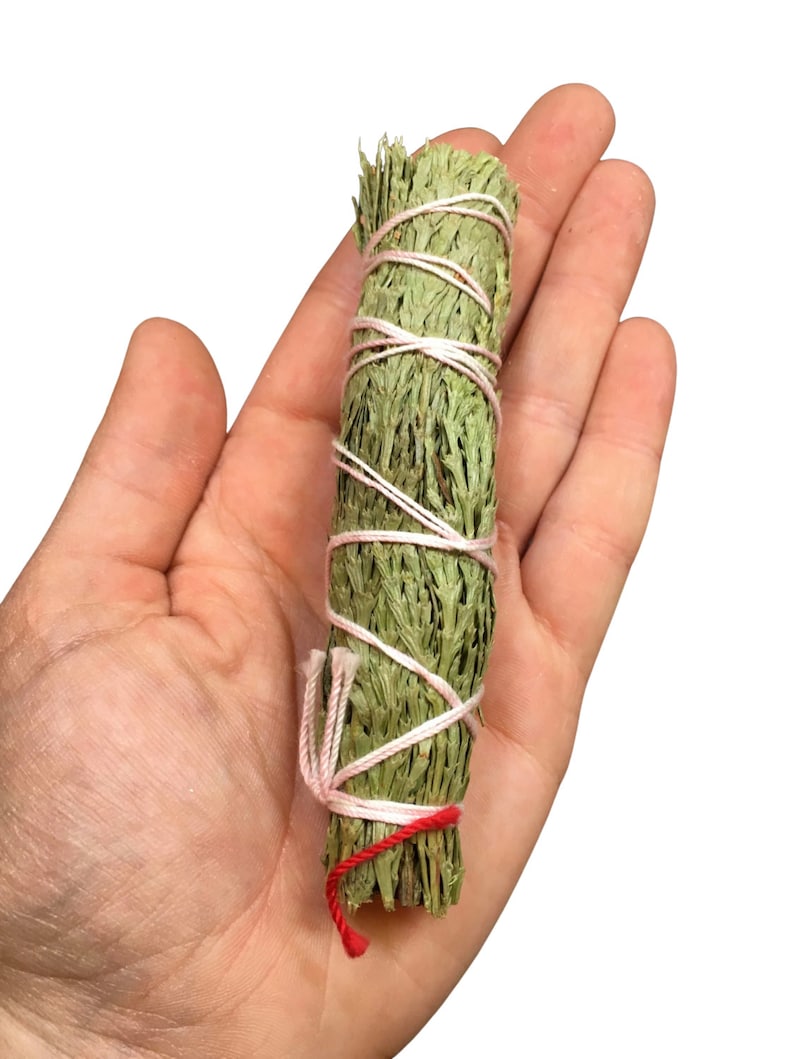 Cedar Stick - 4" Dried Cedar Herb Bundle - Cedar Wand - Cedar Incense ...