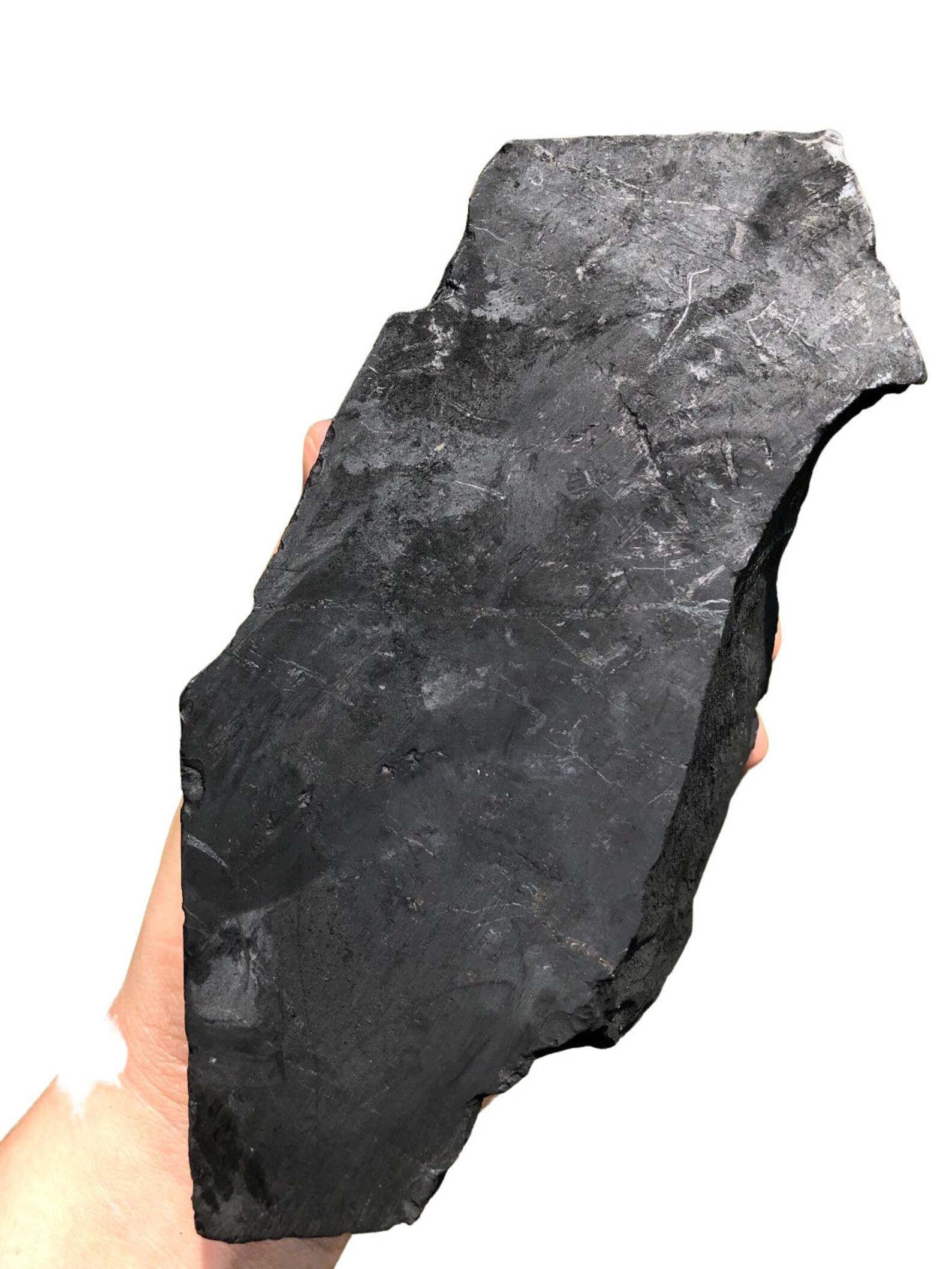 Raw Shungite Stone .5 12 Rough Shungite From - Etsy