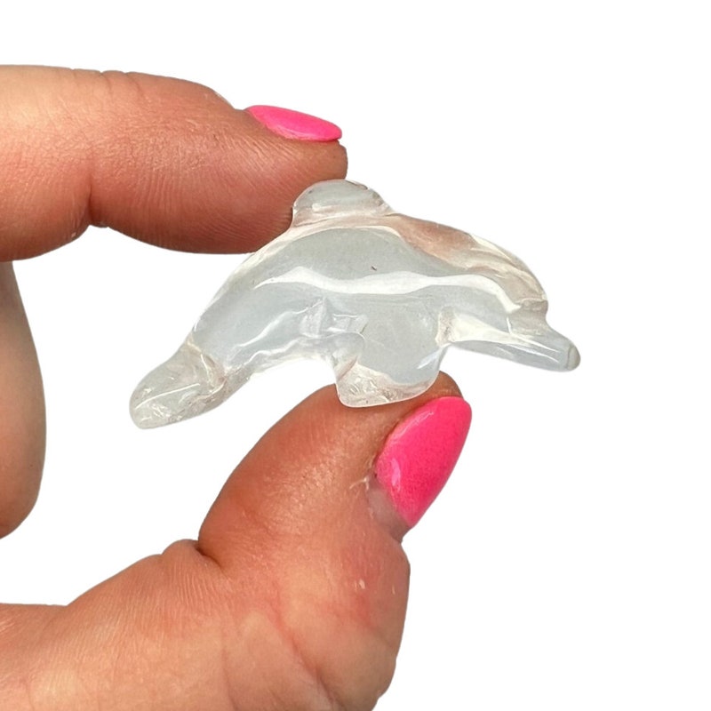Dolphin Stone - Etsy