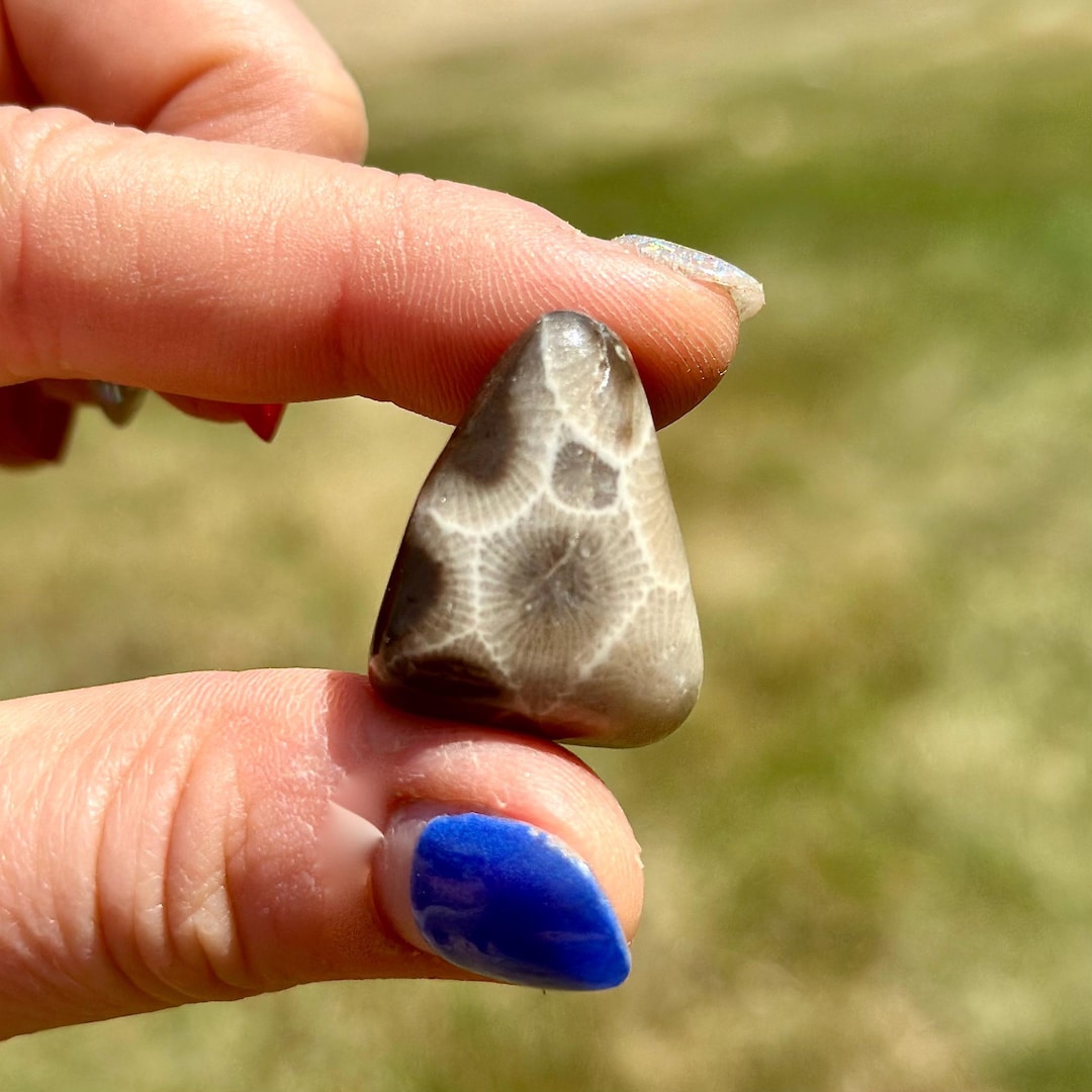 Petoskey Stone Tumbled Crystal - Grade AA Tumbled Petoskey Stone ...