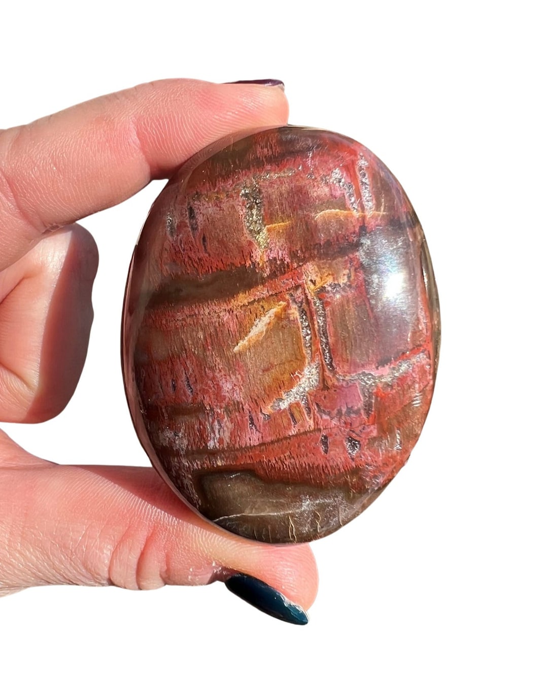 Petrified Wood Stone (1.5"-2.5") Petrified Wood Palm Stone - Petrified ...