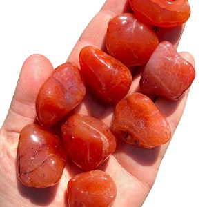 Carnelian Tumbled Stone Multiple Sizes Available Tumbled Carnelian ...