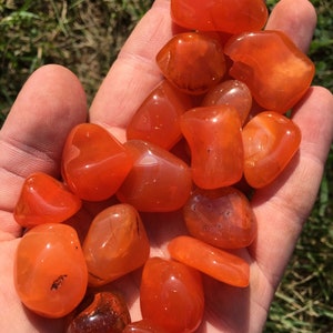 Carnelian Tumbled Crystal - Multiple Sizes Available - Polished Carnelian Gemstone - Tumbled ...