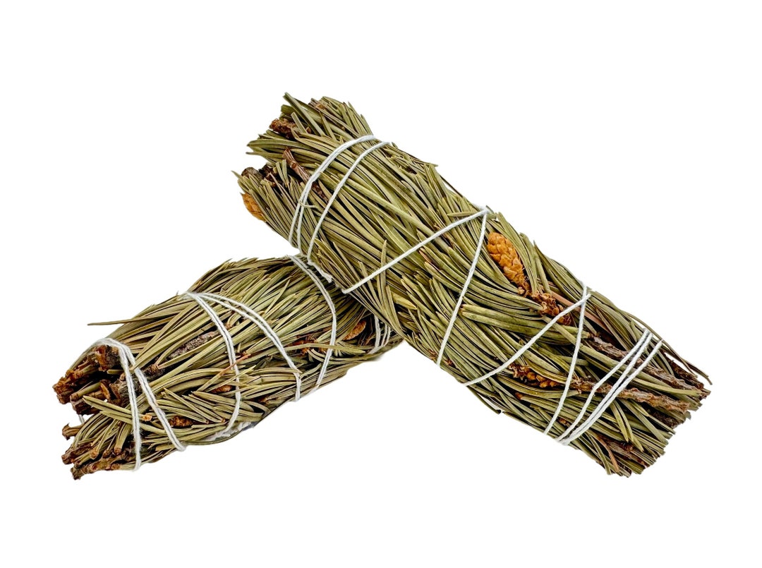 Pine Stick - Herb Bundle - Pine Incense - Natural Incense - 4"-5" Stick ...