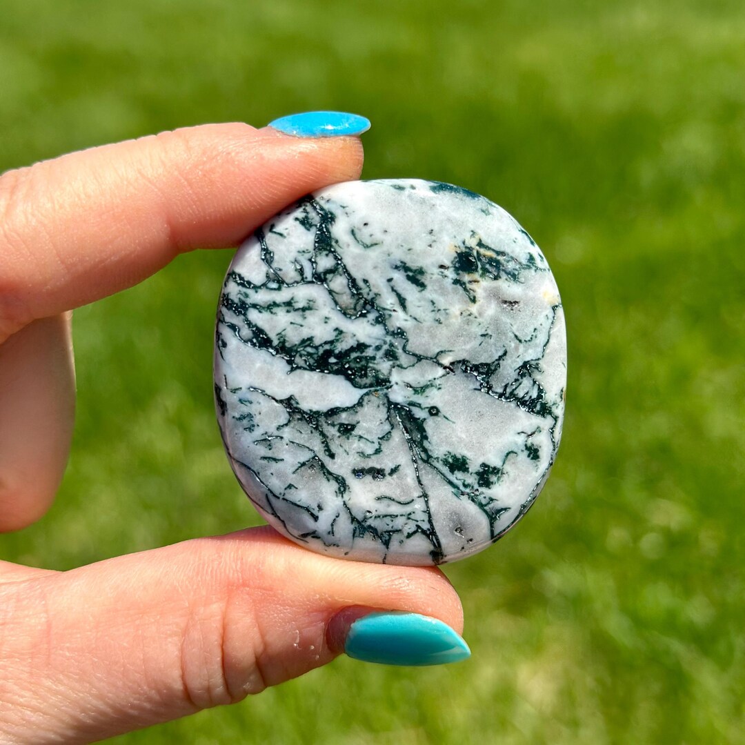 Tree Agate Palm Stone - Polished Tree Agate Crystal Palmstone - Tumbled Tree Agate Worry Stone ...