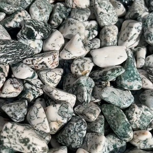 Tree Agate Tumbled Stone - Multiple Sizes Available - Tumbled Tree Agate Crystal - Polished Tree ...