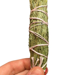 Cedar Stick - 4" Dried Cedar Herb Bundle - Cedar Wand - Cedar Incense ...