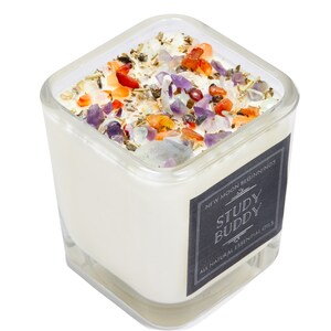 Study Buddy Candles Focus & Concentration Crystal Herb - Etsy UK