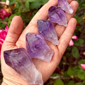 Raw Amethyst Crystal Point With Root (~1" - 4") - Amethyst Points - Raw ...