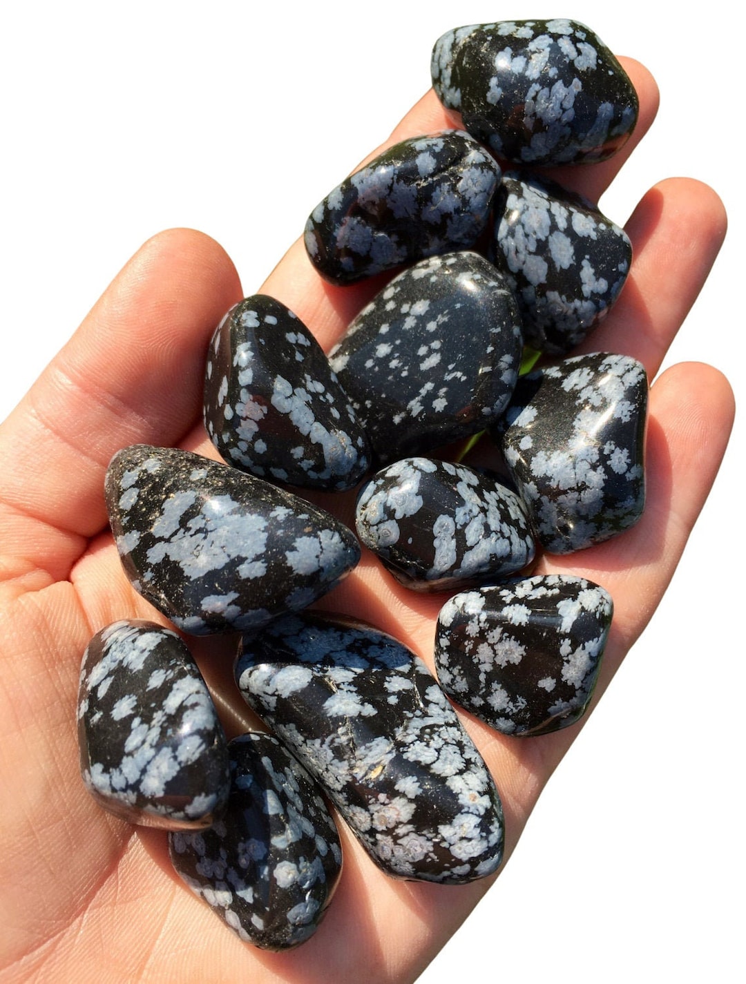 Snowflake Obsidian Tumbled Stone - ( 0.5-1") - Tumbled Black Snowflake ...