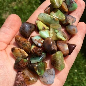 Chrysoprase Tumbled Stone - Multiple Sizes Available - Tumbled ...