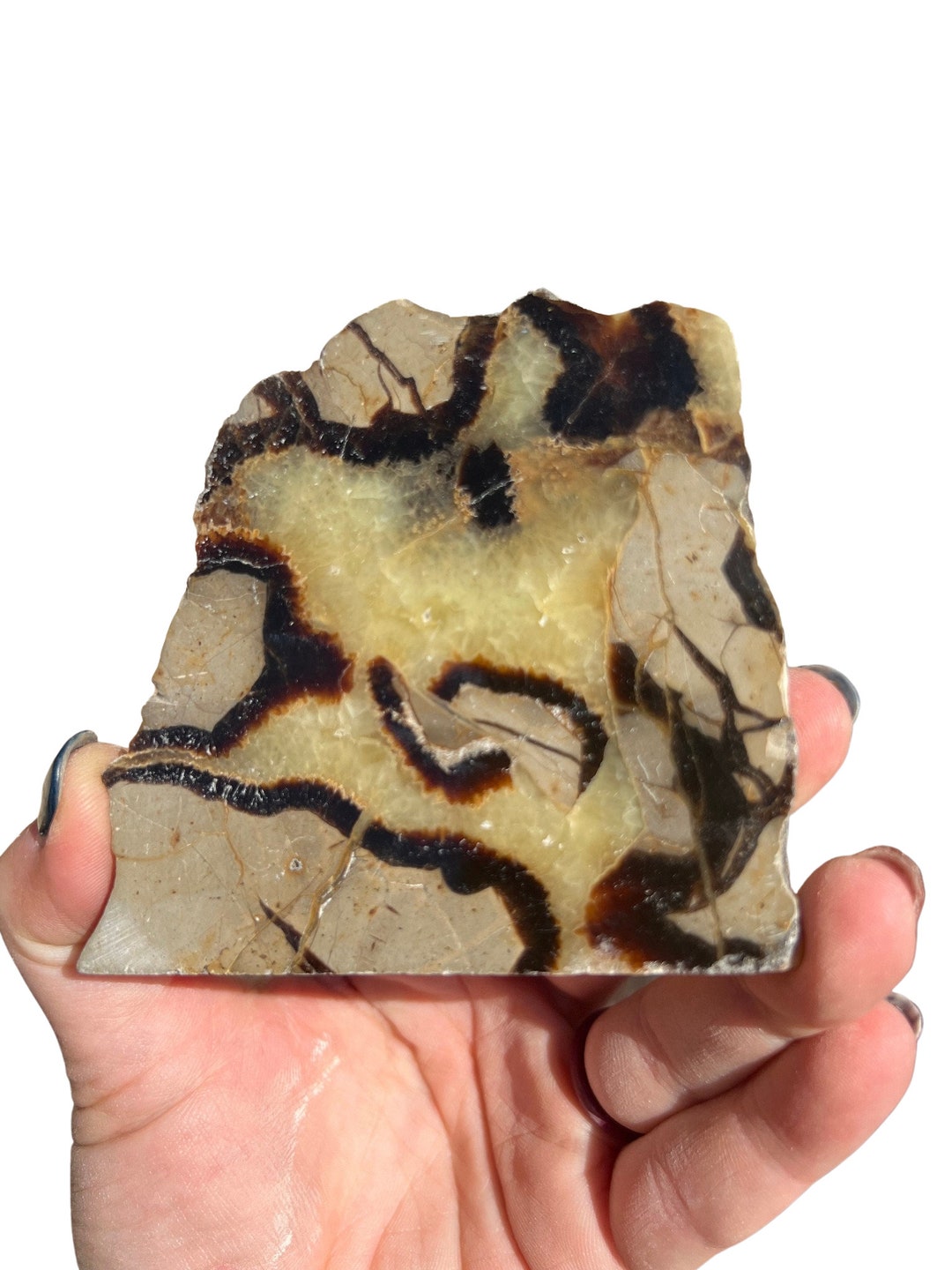 Septarian Stone Slice (0.5" - 4.5") Rough Septarian Crystal Slab ...
