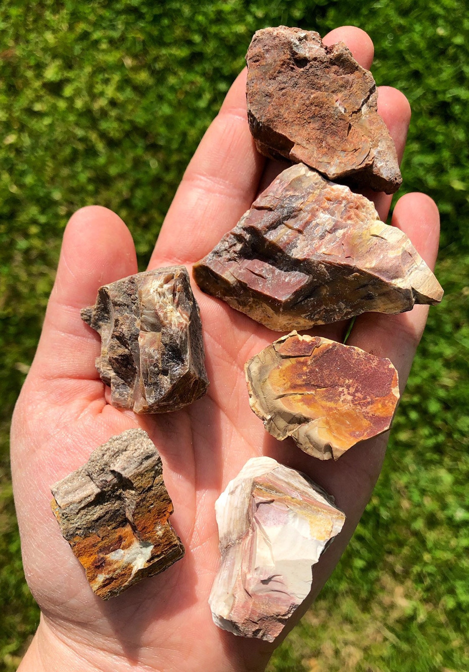 Raw Petrified Wood Stone rough petrified wood slab | Etsy