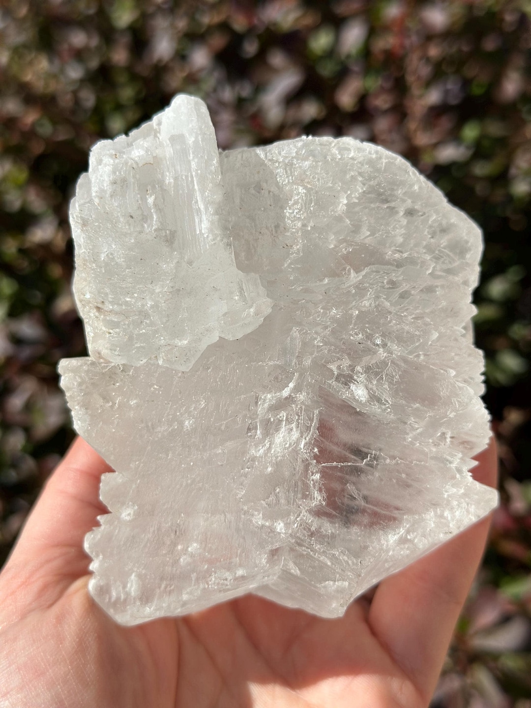 Standing Fishtail Selenite - Fishtail Selenite Crystal - Raw Selenite ...