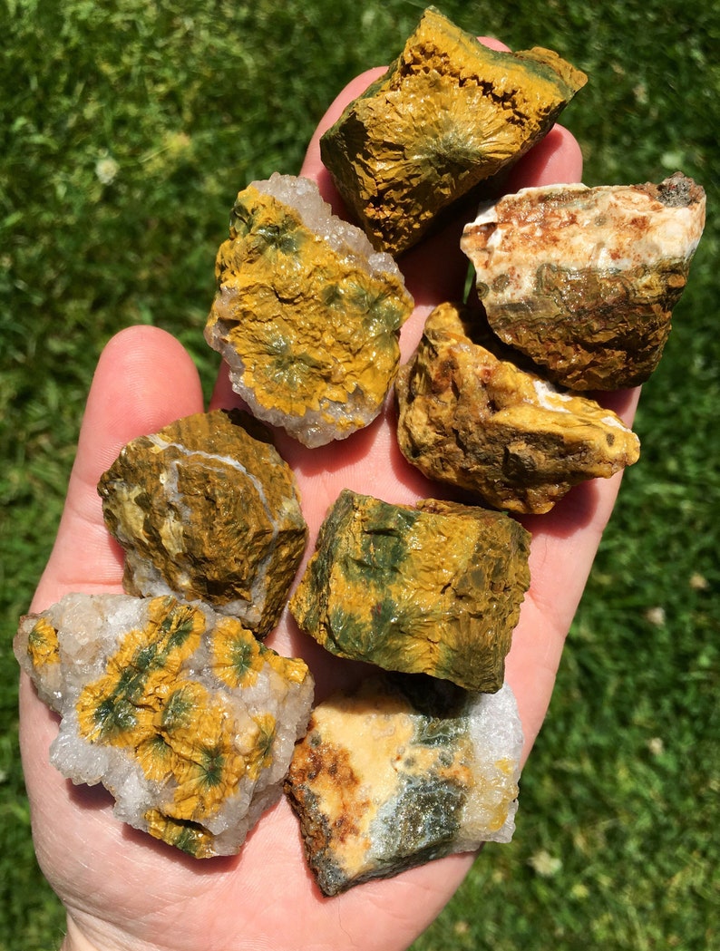 Raw Ocean Jasper Stone Raw Stones Orbicular Jasper - Etsy