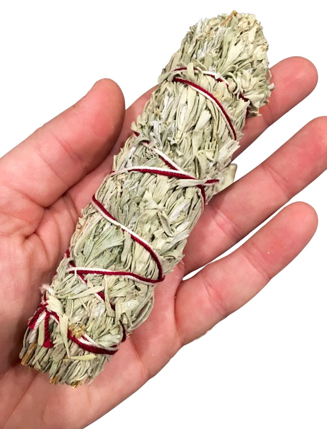 Blue Sage Stick Dried Sage Bundle Blue Sage Bundle - Etsy