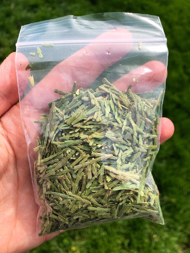 Cedar Cleansing Herb (0.5 Oz) - Dried Herbs - Simmer Pot Cedar Herbs ...