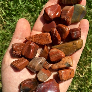 Petrified Wood Tumbled Stone - Multiple Sizes Available - Tumbled ...